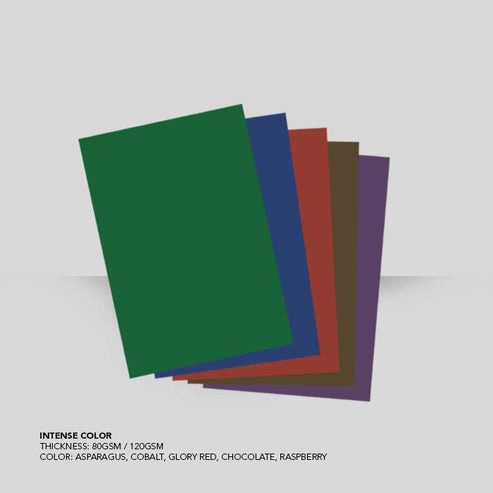 BRISTOL BOARD INTENSE COLOR – Hans Paper Corporation